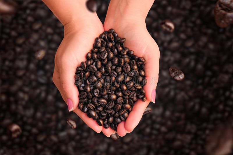 Close Up of Women`s Hands with Coffee Beans on Coffee Bottom with ...