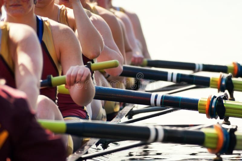 Close Up of Men S Rowing Team Stock Image - Image of watersports, oars ... Close Up of Men S Rowing Team Stock Image - Image of watersports, oars ...