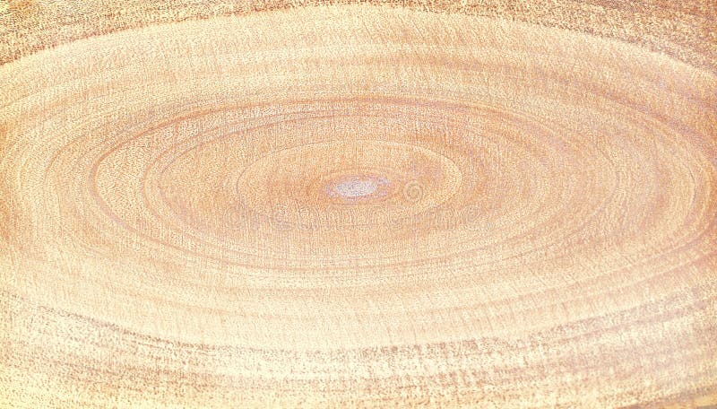 Abstract Layer of Bamboo in Line Rounded Patterns for Texture or ...