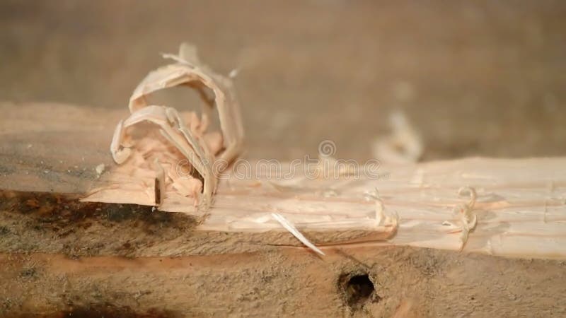 Wood carving with chisel stock photo. Image of texture - 214066712