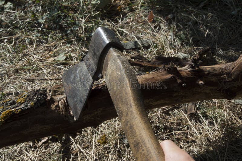 Close-up: Wood Chopper in the Right Hand Ready To Cut the Wood Stock ...