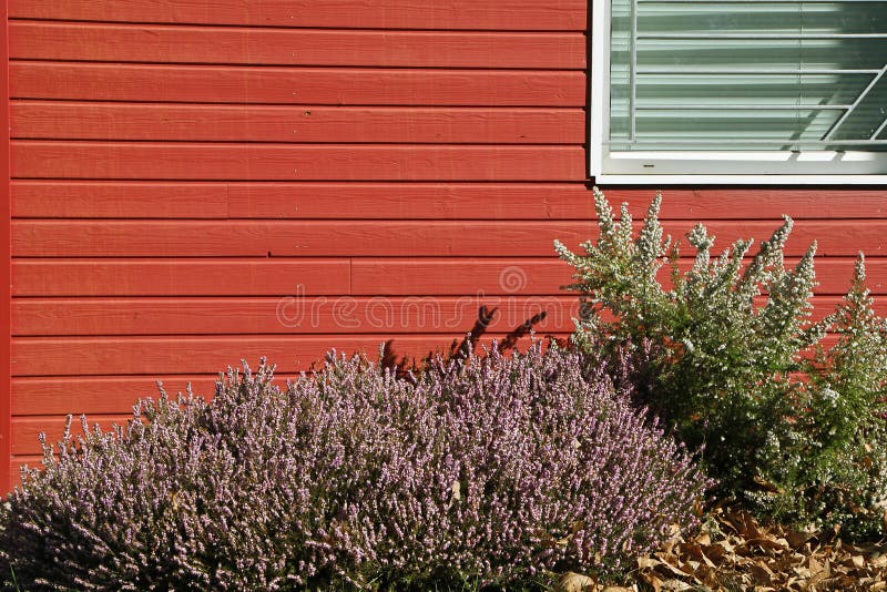 Close-up of a Wood Cladding of a Building Stock Photo - Image of ...