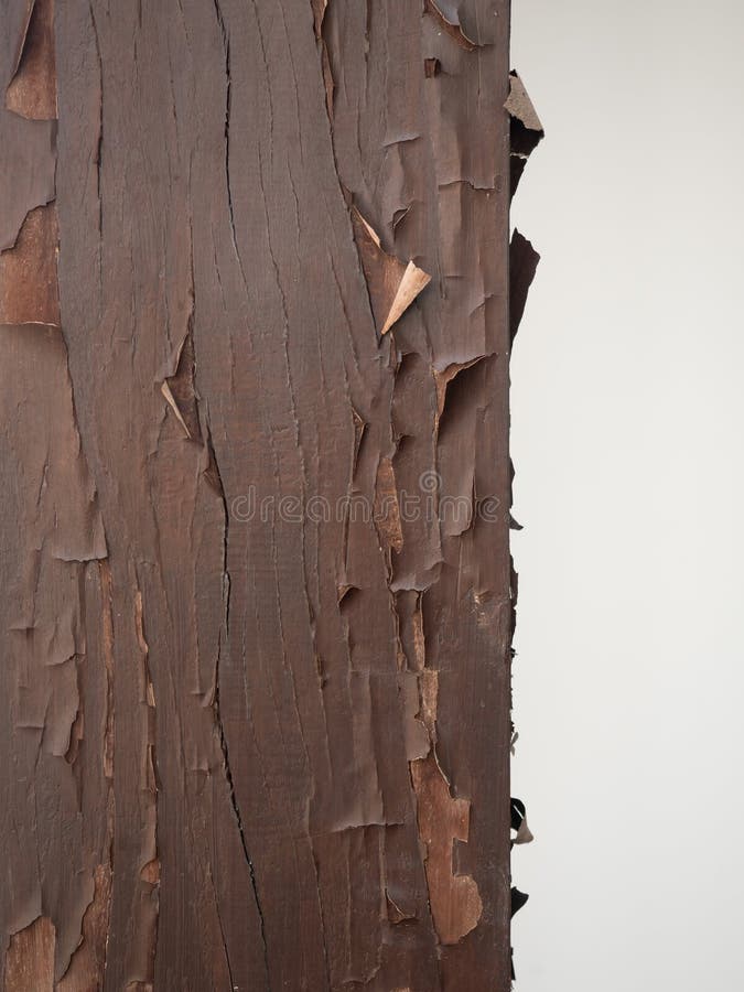 Close-up Wood Stain Peeling Off, Damage Stock Image - Image of paint ...