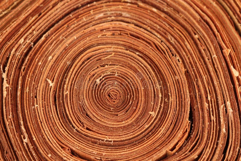 Wood layer texture stock image. Image of manufacturing - 4653323