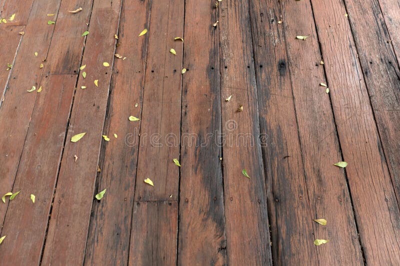 Close Up Wood Texture for Nature Background Stock Image - Image of ...