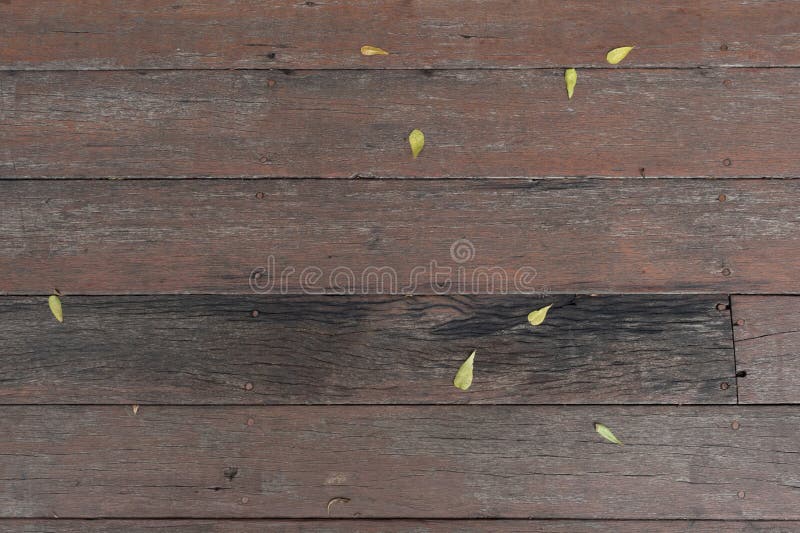 Close Up Wood Texture for Nature Background Stock Photo - Image of ...