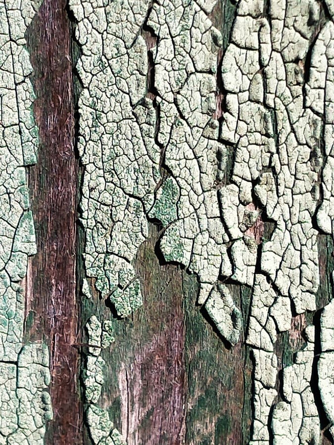 Close-up of Wood Texture with Several Layers of Old Cracked Paint Stock ...