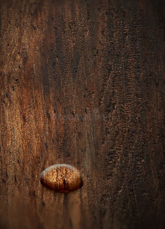 Close Up of Wood with Water Drop Stock Photo - Image of reflection ...