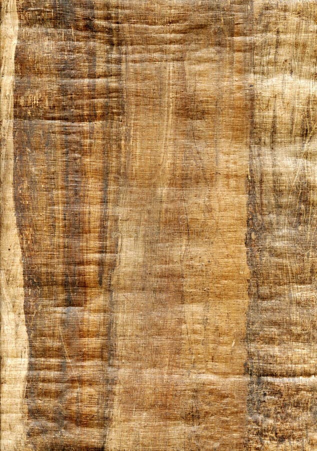 4+ Close up wooden hq birch texture Free Stock Photos - StockFreeImages 4+ Close up wooden hq birch texture Free Stock Photos - StockFreeImages