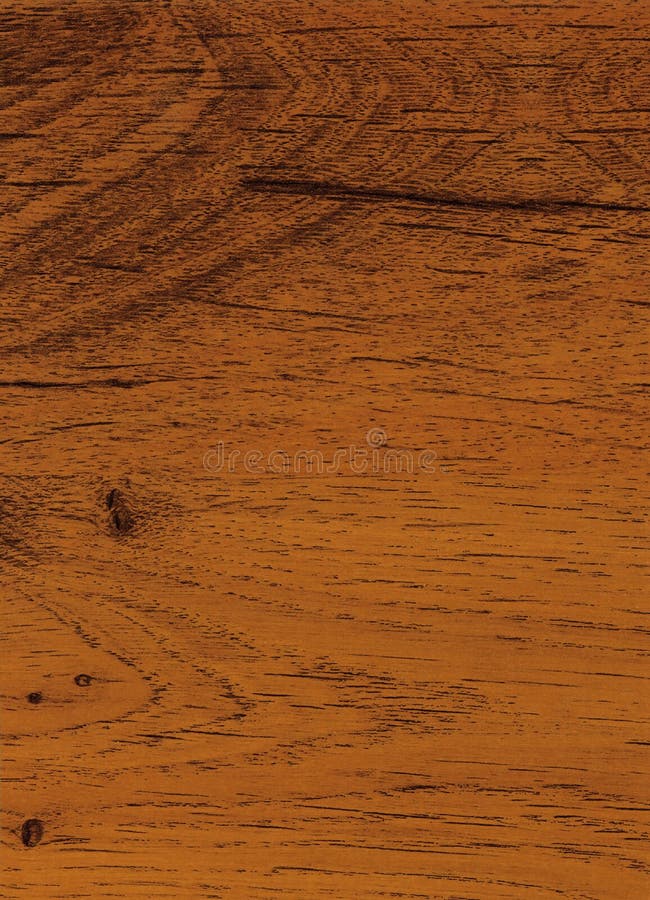360+ Close up wooden oak texture Free Stock Photos - StockFreeImages 360+ Close up wooden oak texture Free Stock Photos - StockFreeImages