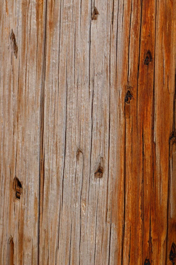 Close Up of Wooden Pole Texture that is Aged Stock Image - Image of ...