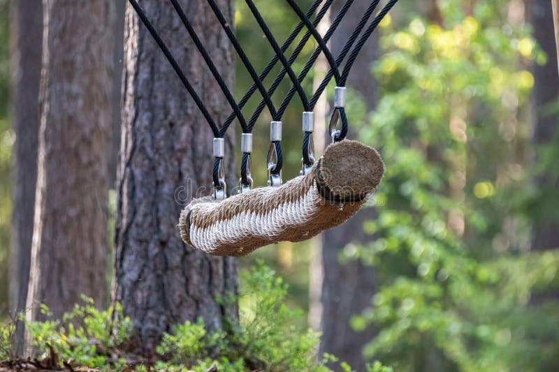 Close-Up of Wooden Swing in Forest Stock Photo - Image of nature, park ...