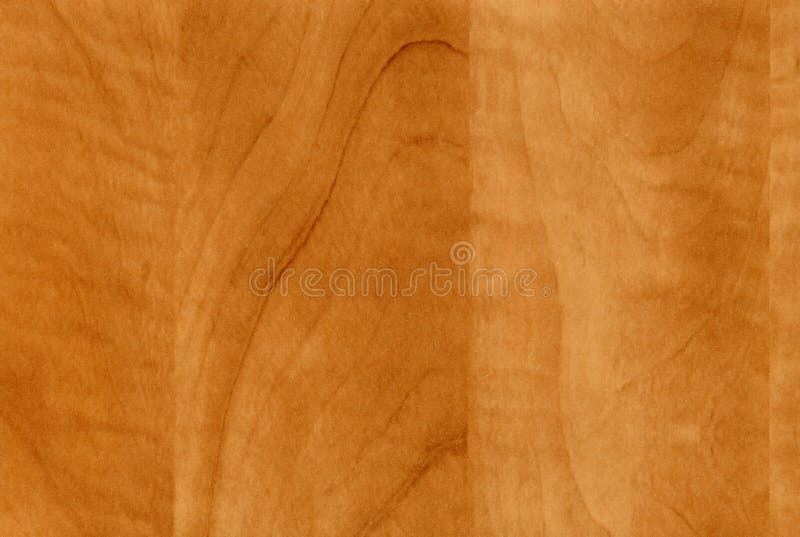 Old Dry Dead Leaf Texture Gold Stock Photo - Image of colours, dried: 95544