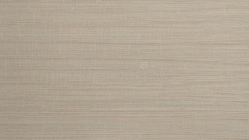 Close-up of Woven Fabric Texture Showing Detailed Interlacing of Thin ...