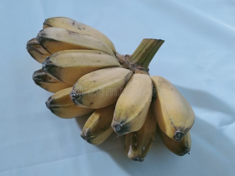 Close Up Yellow Banana View from Above Stock Image - Image of tree ...