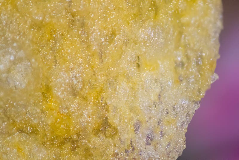 Close up of a yellow crisp stock photo. Image of fattening - 178486922
