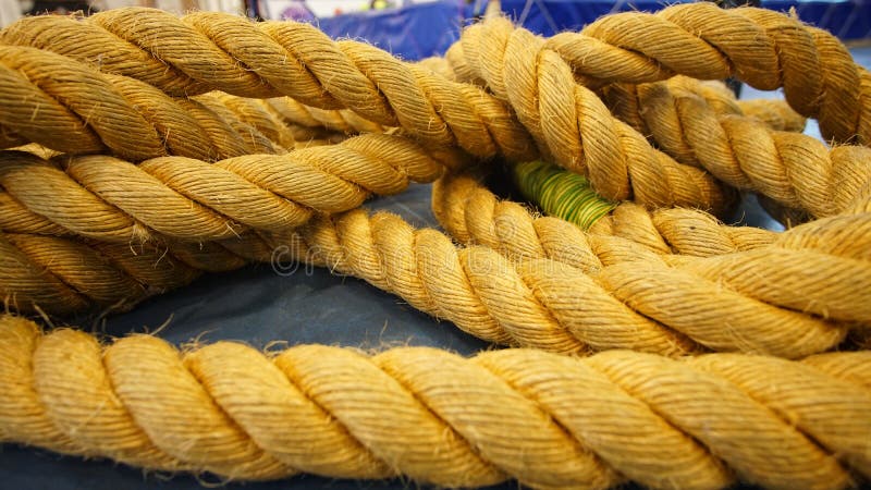 Close-up of the Gym Rope for a Climbing Exercises Stock Photo - Image ...