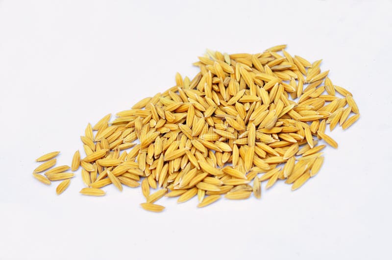 Close up of yellow rice stock photo. Image of nourishment - 24411060