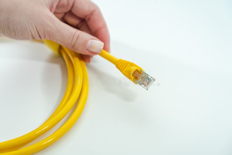 Close Up of Yellow RJ-45 Cable on Hand. Isolated Stock Image - Image of ...