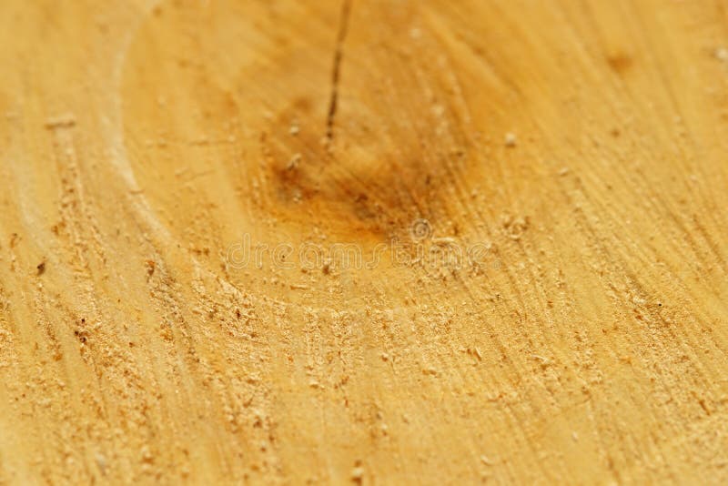 Close-up of Yellow Willow Stump for Background Stock Image - Image of ...