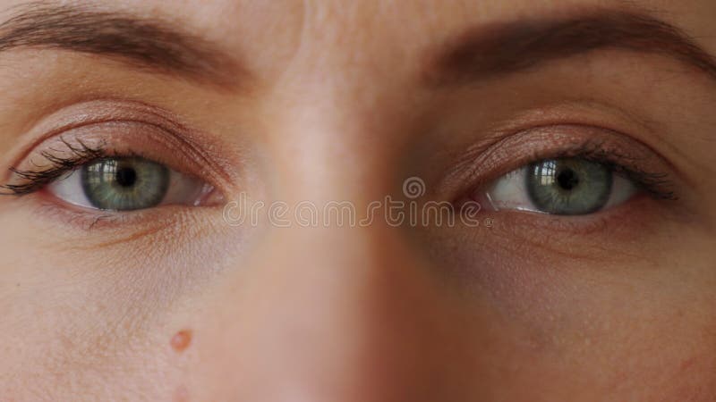 Close-up Face of Pretty Girl with Beautiful Big Blue Eyes, Big ...