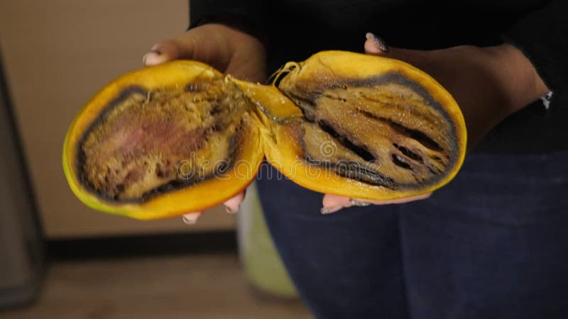Close-up of a Woman Holding a Rotten Mango in Her Hands, she Throws the ...