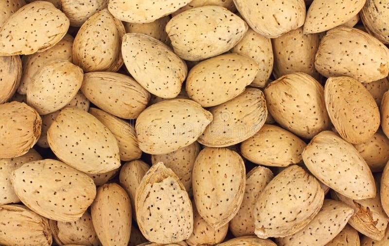 Close View of Almonds in Shell Stock Image - Image of organic, closeup ...