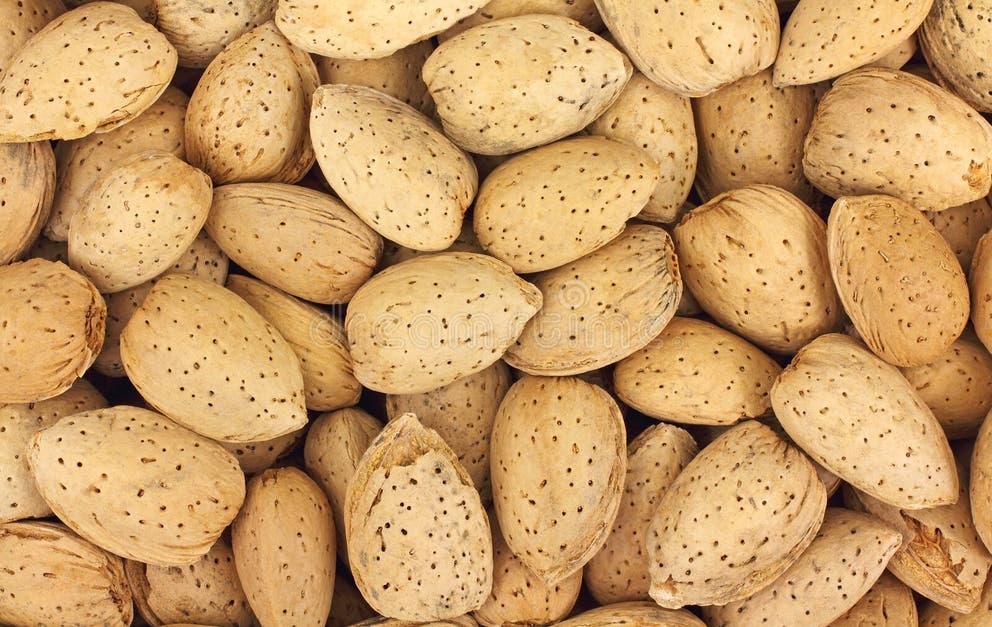 Close View of Almonds in Shell Stock Image - Image of organic, closeup ...