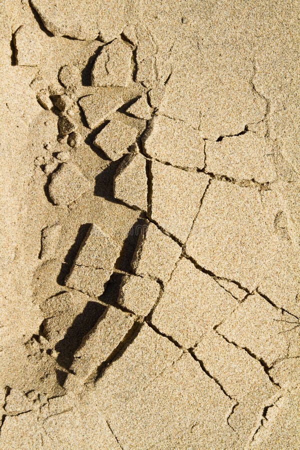 Broken wet sand stock photo. Image of pieces, blocks - 105955254