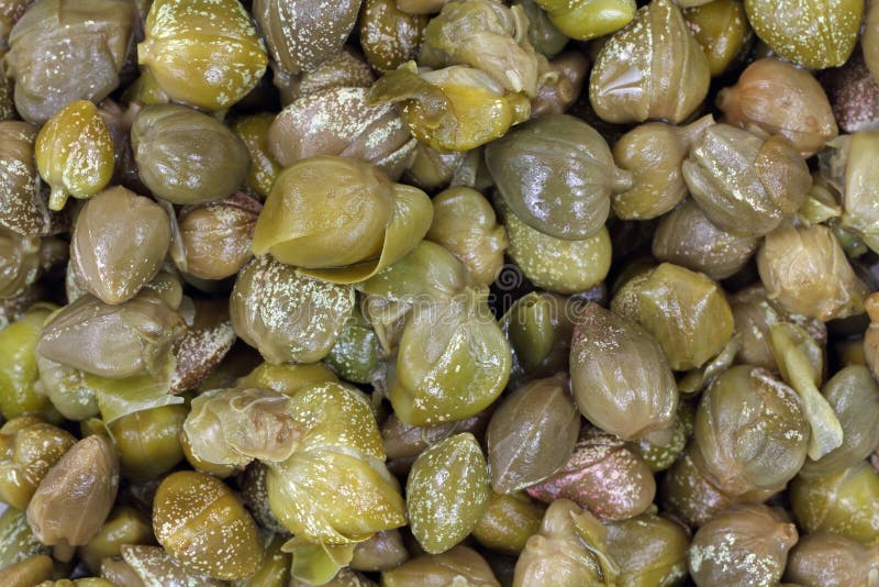 Close view of capers stock photo. Image of close, green - 20023932