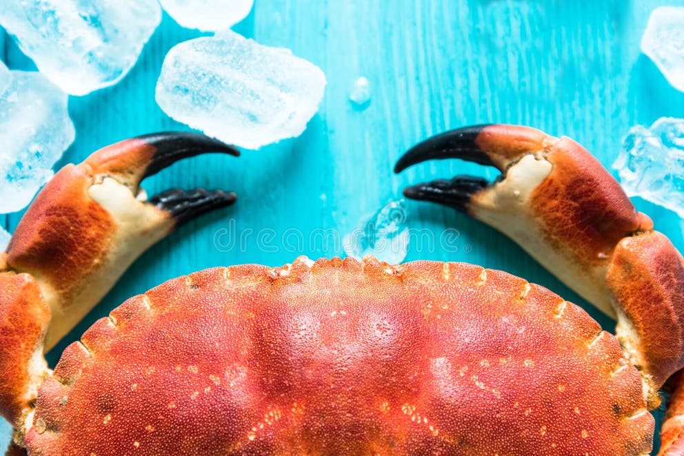 Close view on crab claves stock image. Image of fresh - 64845251