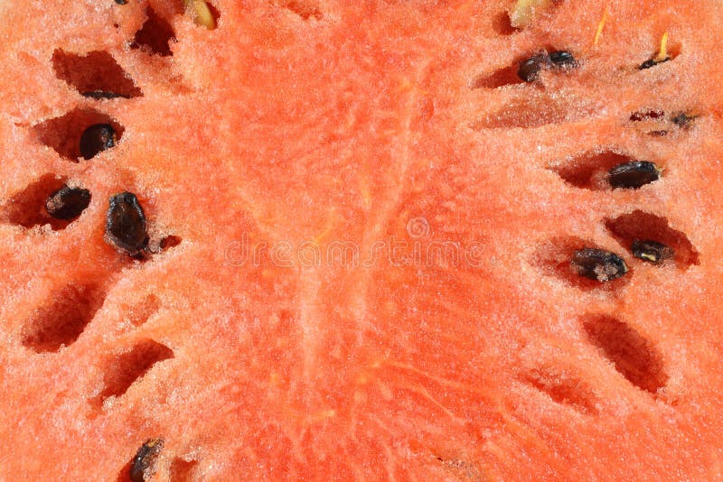 Close View of a Cut Watermelon Stock Image - Image of close, size: 14713781