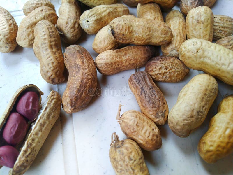 A Close View of Fresh Natural Indian Groundnuts Stock Photo - Image of ...