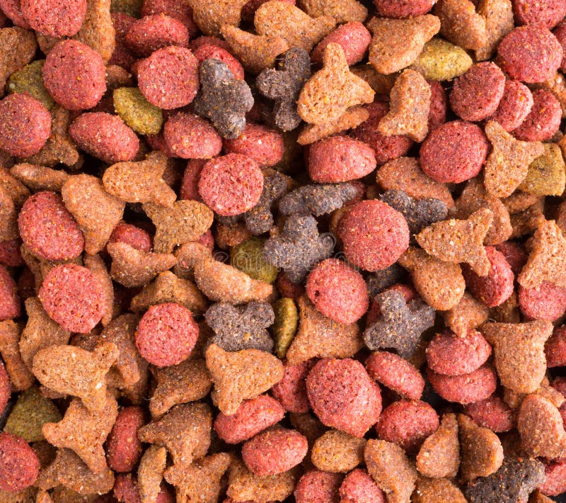 Close View of Generic Dry Cat Food Stock Image - Image of shapes ...