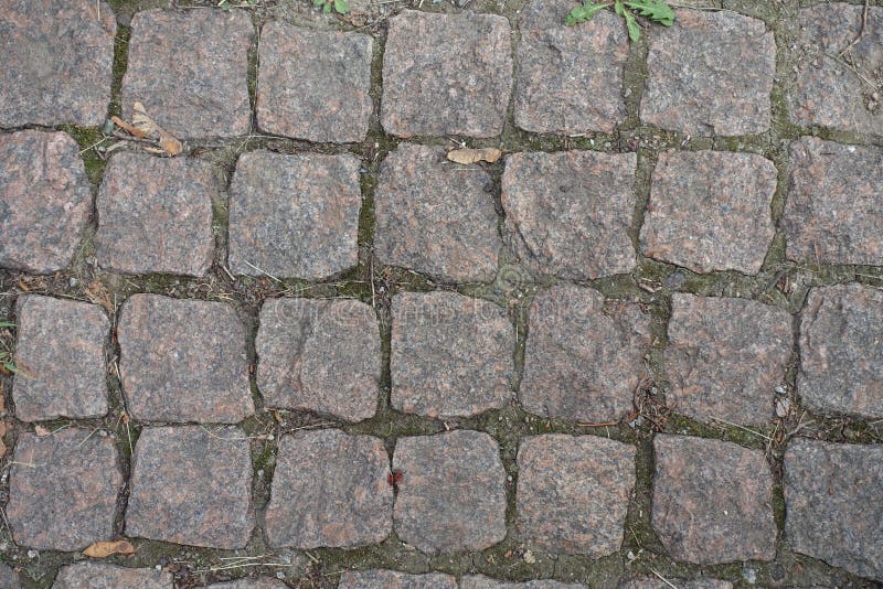 Closeup of Granite Setts Road Pavement Stock Photo - Image of pavement ...