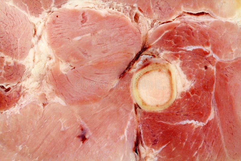 Close View of Ham with Bone Stock Photo - Image of cured, slab: 19348846