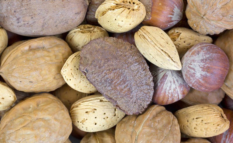 Close View of Nuts in Shells Stock Image - Image of protein, natural ...