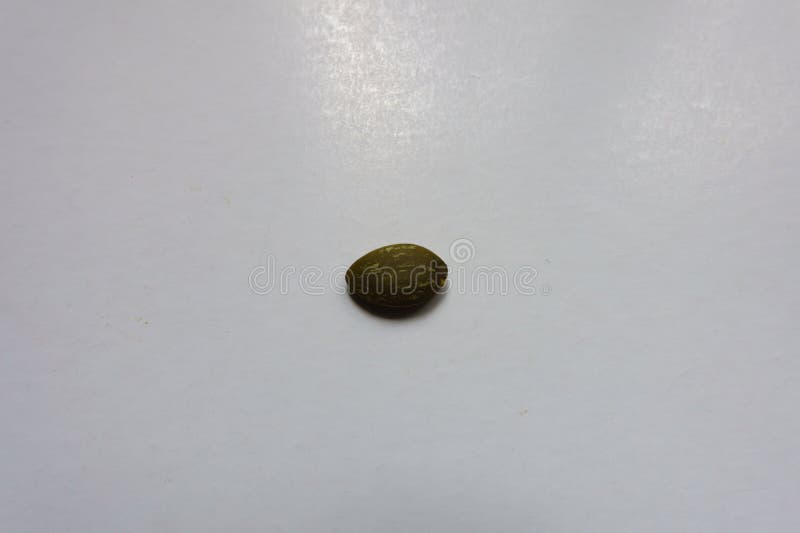 Close View of One Kernel of Pumpkin Seed Stock Photo - Image of cooking ...
