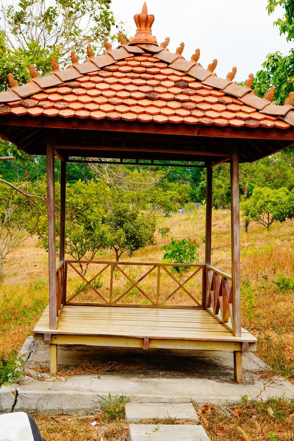Close Up View of Guava Fruit Isolated on White Background As Copy Space ...