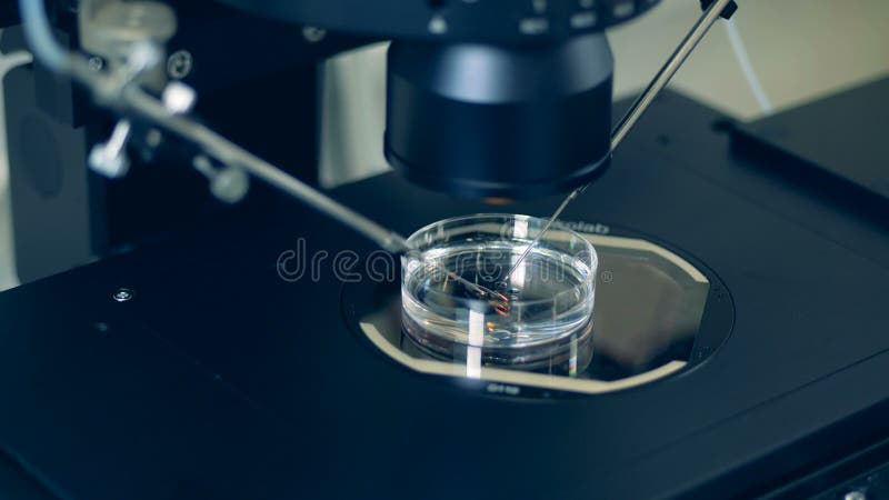 Sample Probes Under a Modern Scientific Microscope. Stock Footage ...