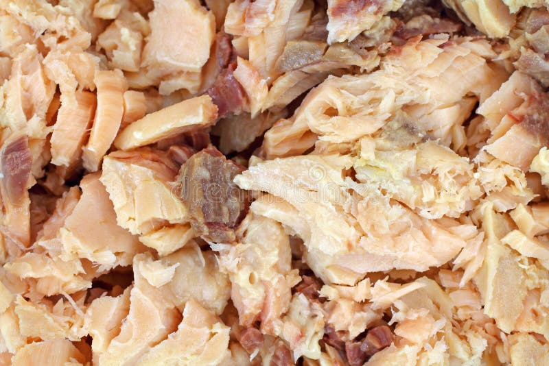 Close view of pink salmon stock photo. Image of salmon - 20796256