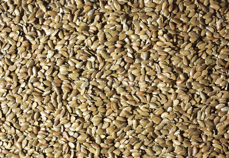 Raw flaxseed stock image. Image of highlights, nutrition - 29813631
