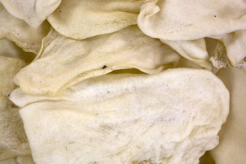 Close View Rawhide Dog Chews Stock Image - Image of skin, closeup: 30652313