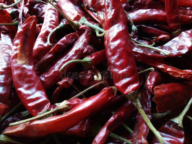 Red Dry Chilly a Close View Stock Photo - Image of food, view: 194873500