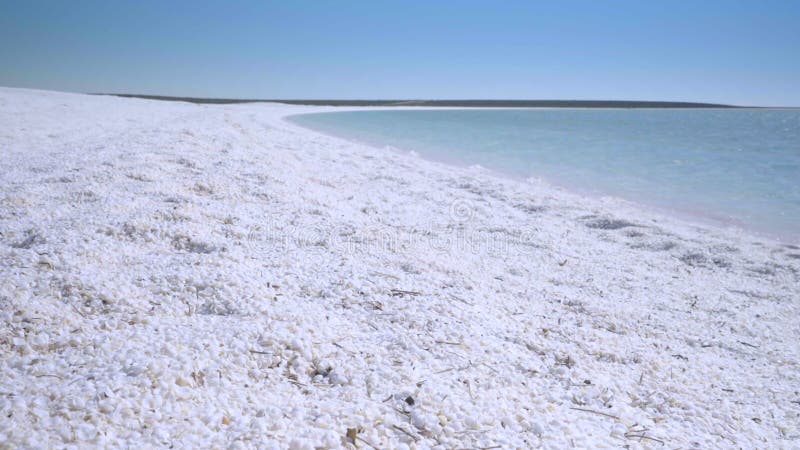 Close View of Shell Beach at Shark Bay Stock Video - Video of white ...