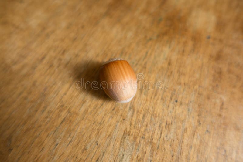 Close View of Single Hazelnut on Wooden Table Stock Image - Image of ...