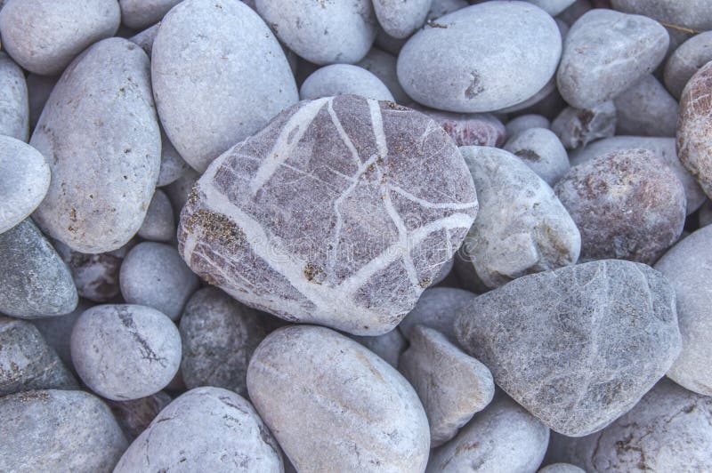 Close View of Small and Big Pebble Stone on Summer Sunny Day Stock ...