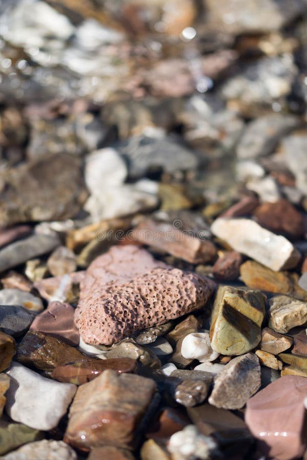 Close View of Small Rocks on the Sea Beach Stock Photo - Image of rock ...