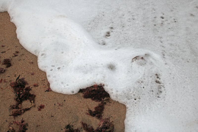 CLOSE VIEW of WHITE FROTHY FOAM on BEACH Stock Image - Image of margin ...