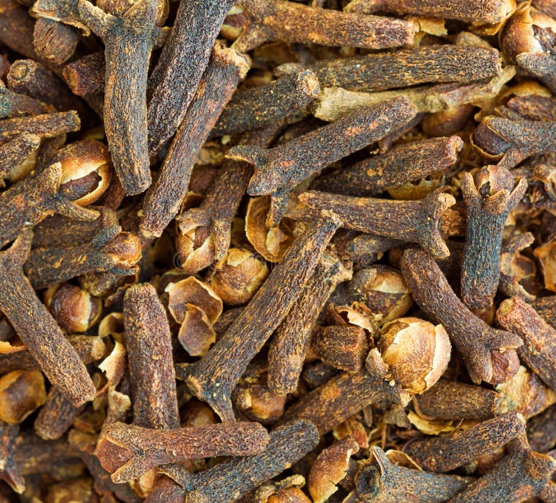 Close view of whole cloves stock image. Image of organic - 60167319